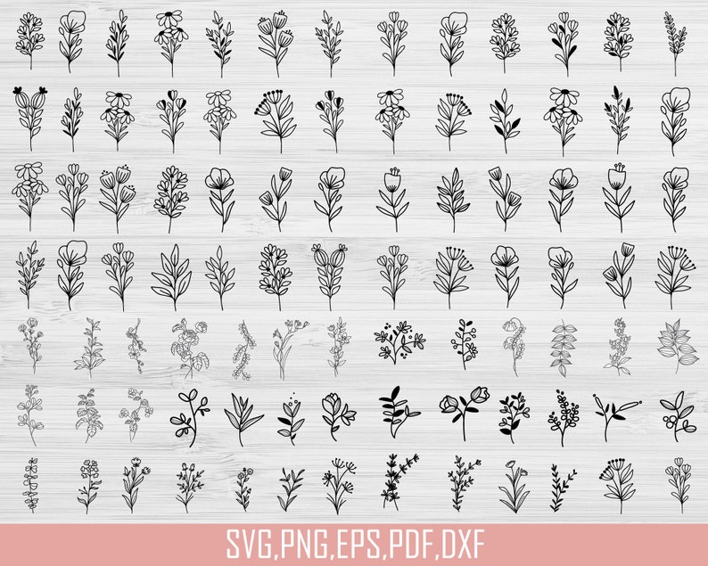108 Wildflowers Svg Bundle Hand Drawn Wildflowers Png - Etsy