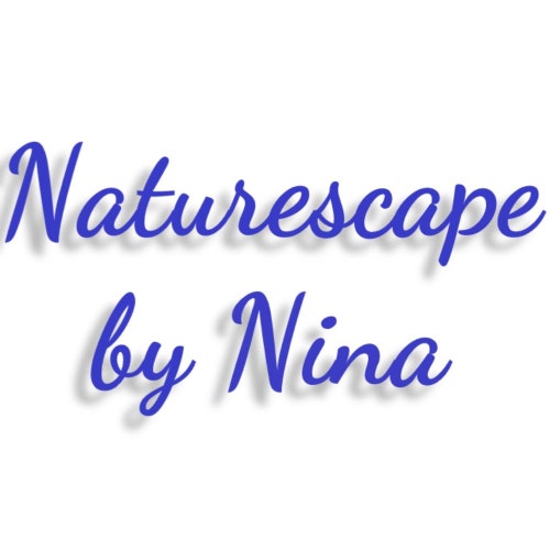 NaturescapeByNina - Etsy