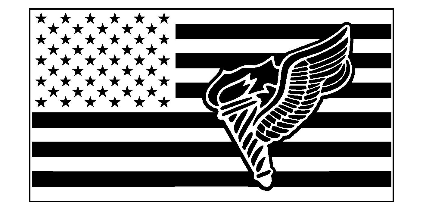 Pathfinder Torch American Flag - Etsy