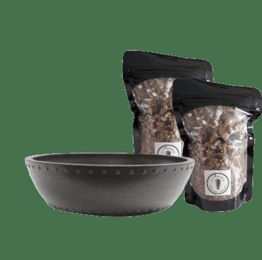 Round Mica Pot 6 Lyte Serenity Soil 2 Pack - Etsy