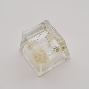 Keycaps of Epoxy Keycaps Custom Keycaps Epoxy Resin - Etsy