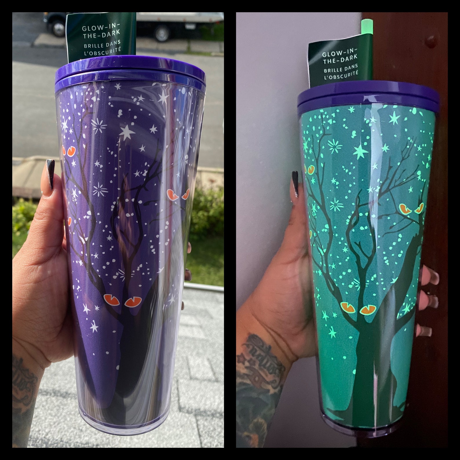 Authentic Starbucks 2022 Fall Chapters 123&4 Orange Studded - Etsy