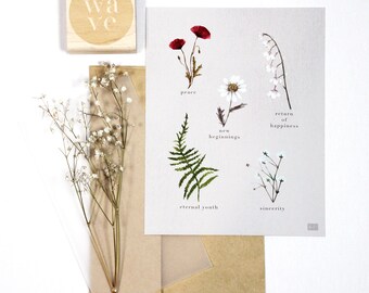 Pressed Flowers | Etsy Canada