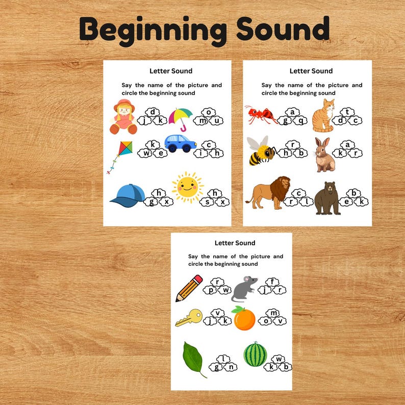 Letter Sound Recognition, Beginning Sound Activity | Letter Sounds ...