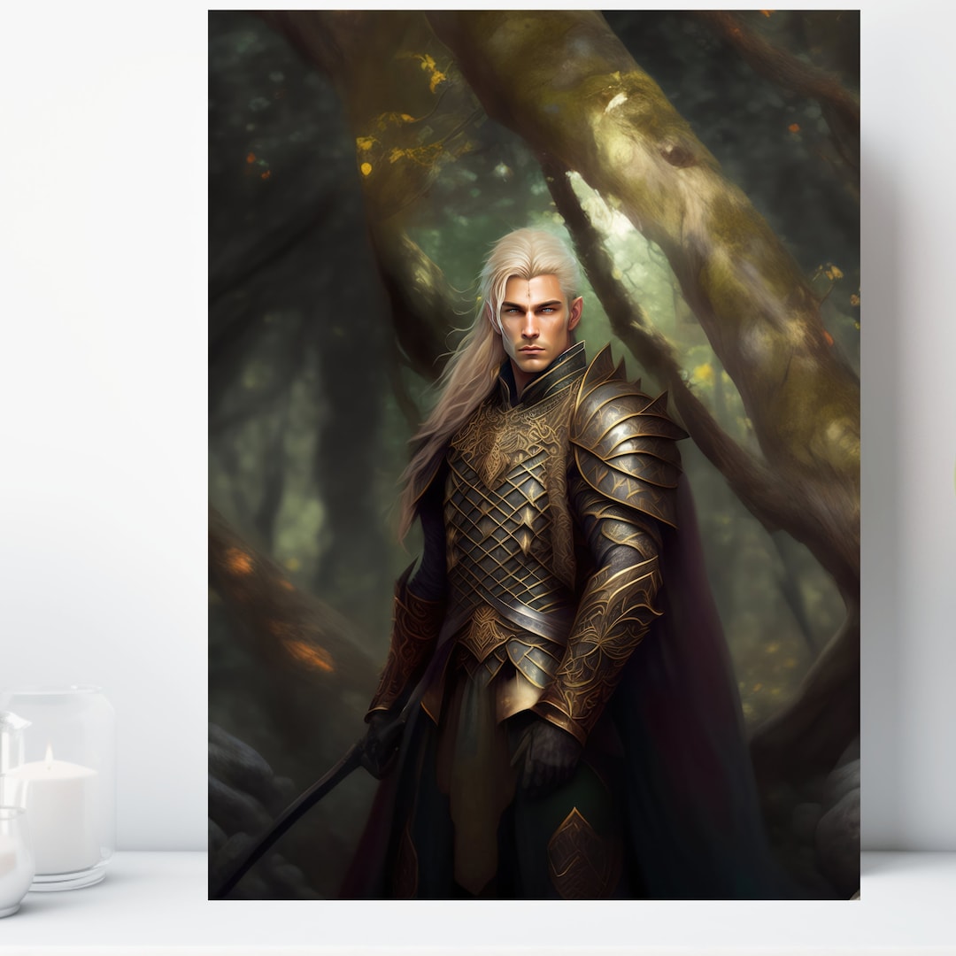 Video Game Art - Fantasy Wall Art, Elf Canvas Print, Masculine Decor ...