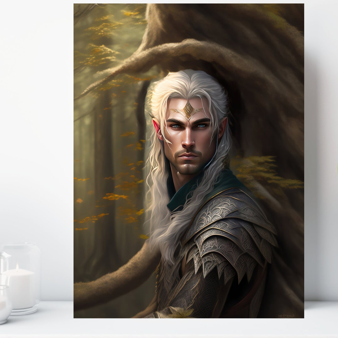 Elvish King Canvas Print, Wrapped Canvas, Fantasy Wall Art, Ready to ...