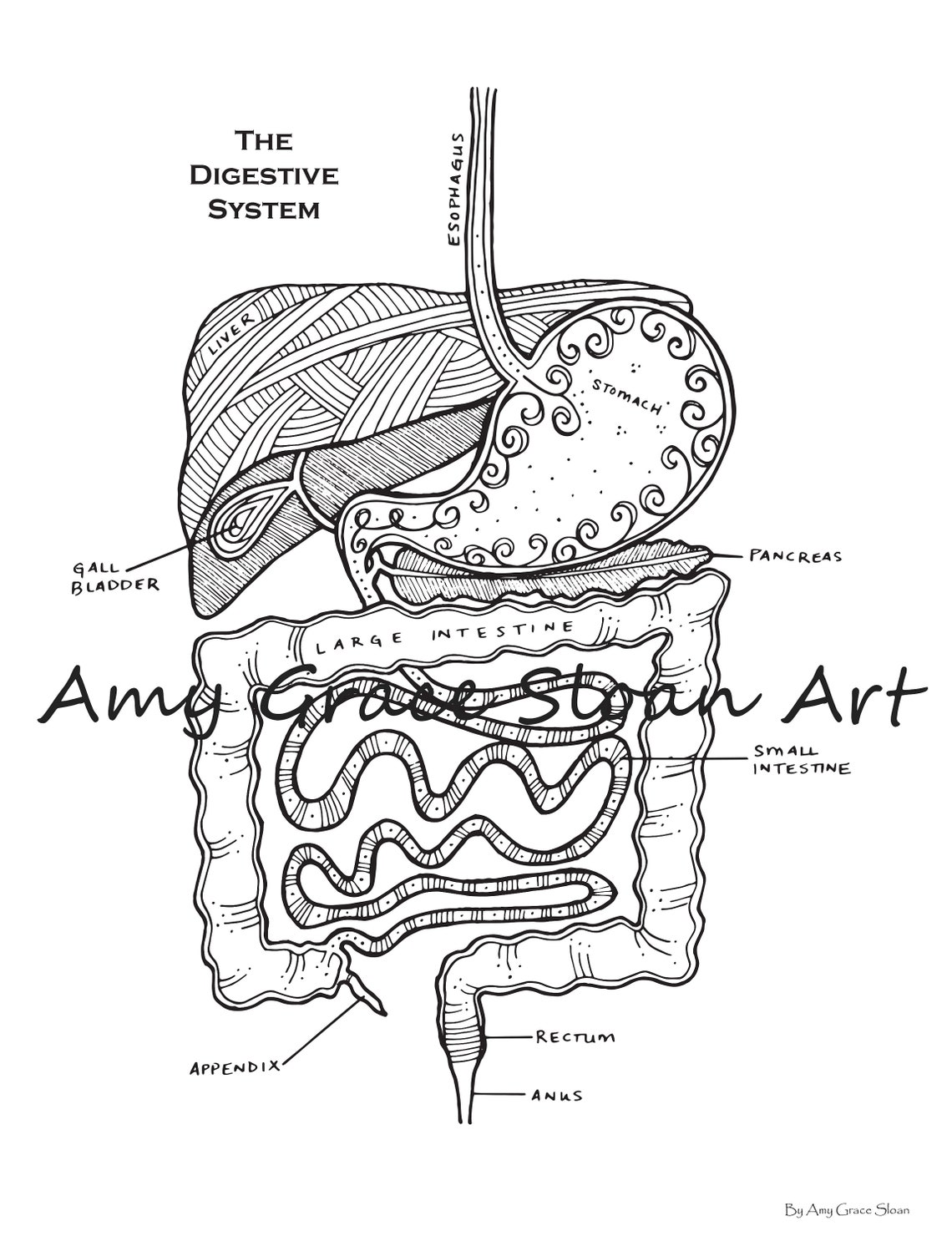 Human Anatomy Coloring Pages | Etsy