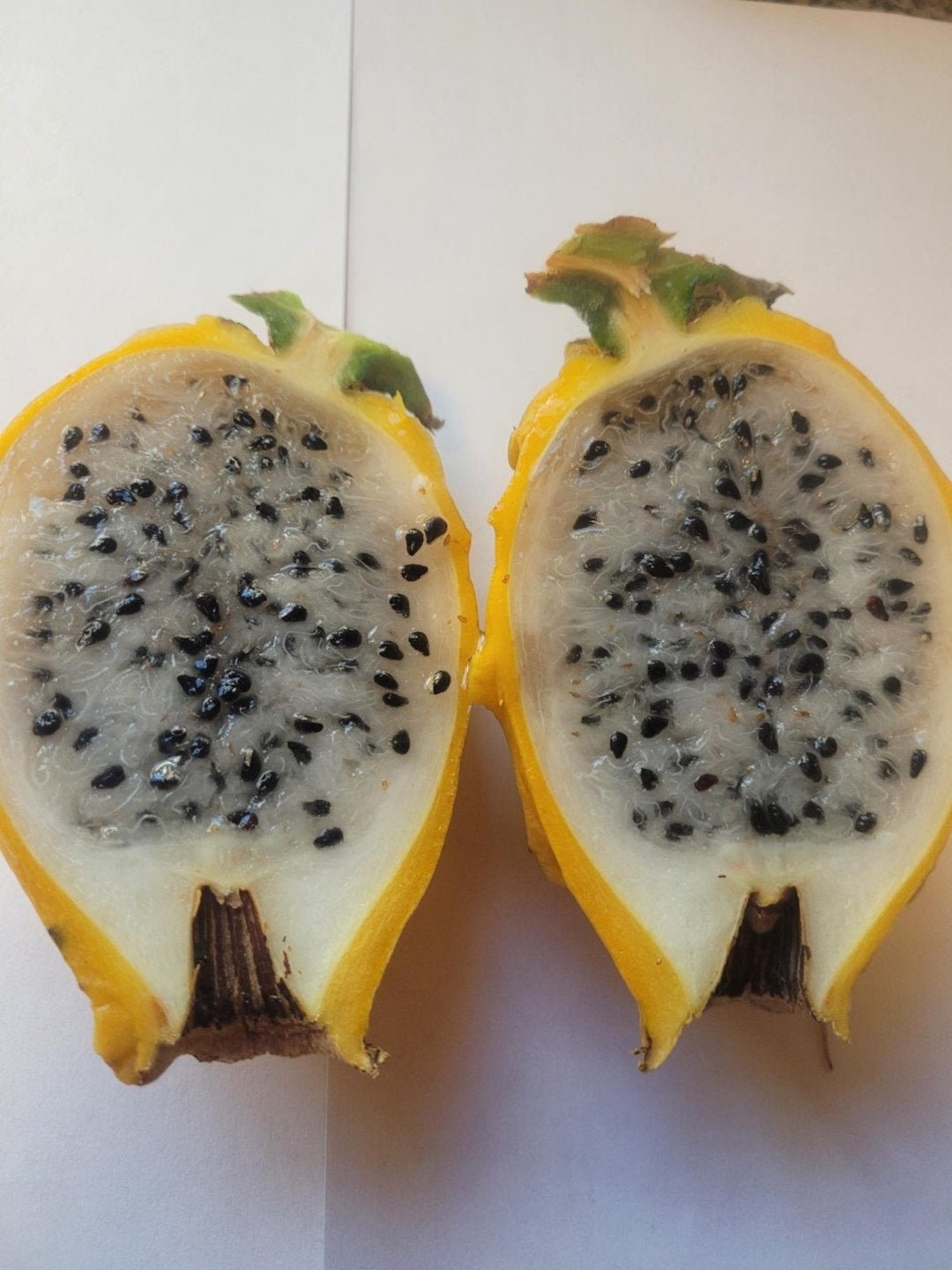 55+ Seeds Yellow Dragon Fruit Yellow Pitaya,yellow Pitahaya) Free ...