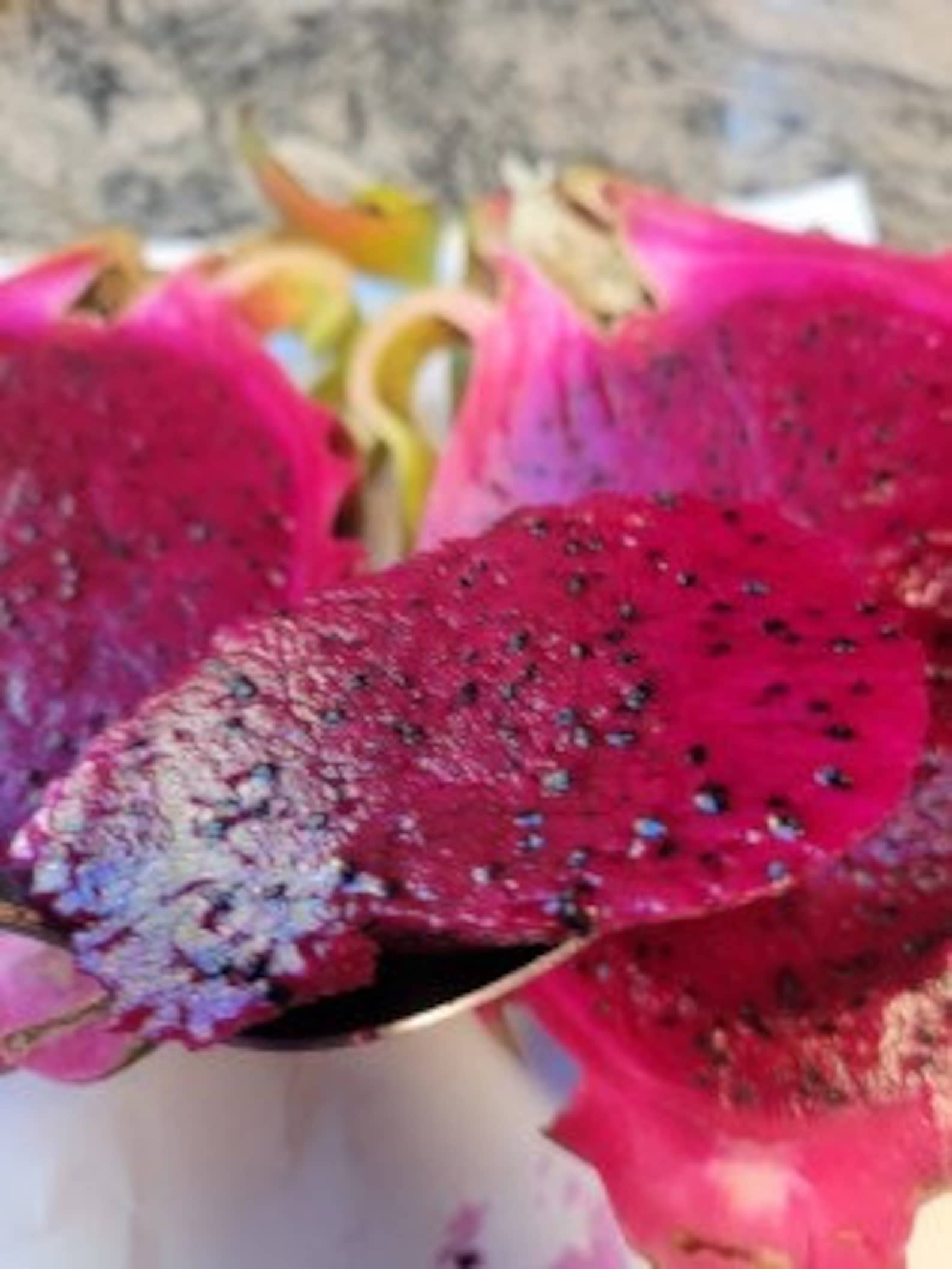 100+ Red Dragon Fruit Seeds (pitaya,hylocereus Costaricensis),ca ,free ...