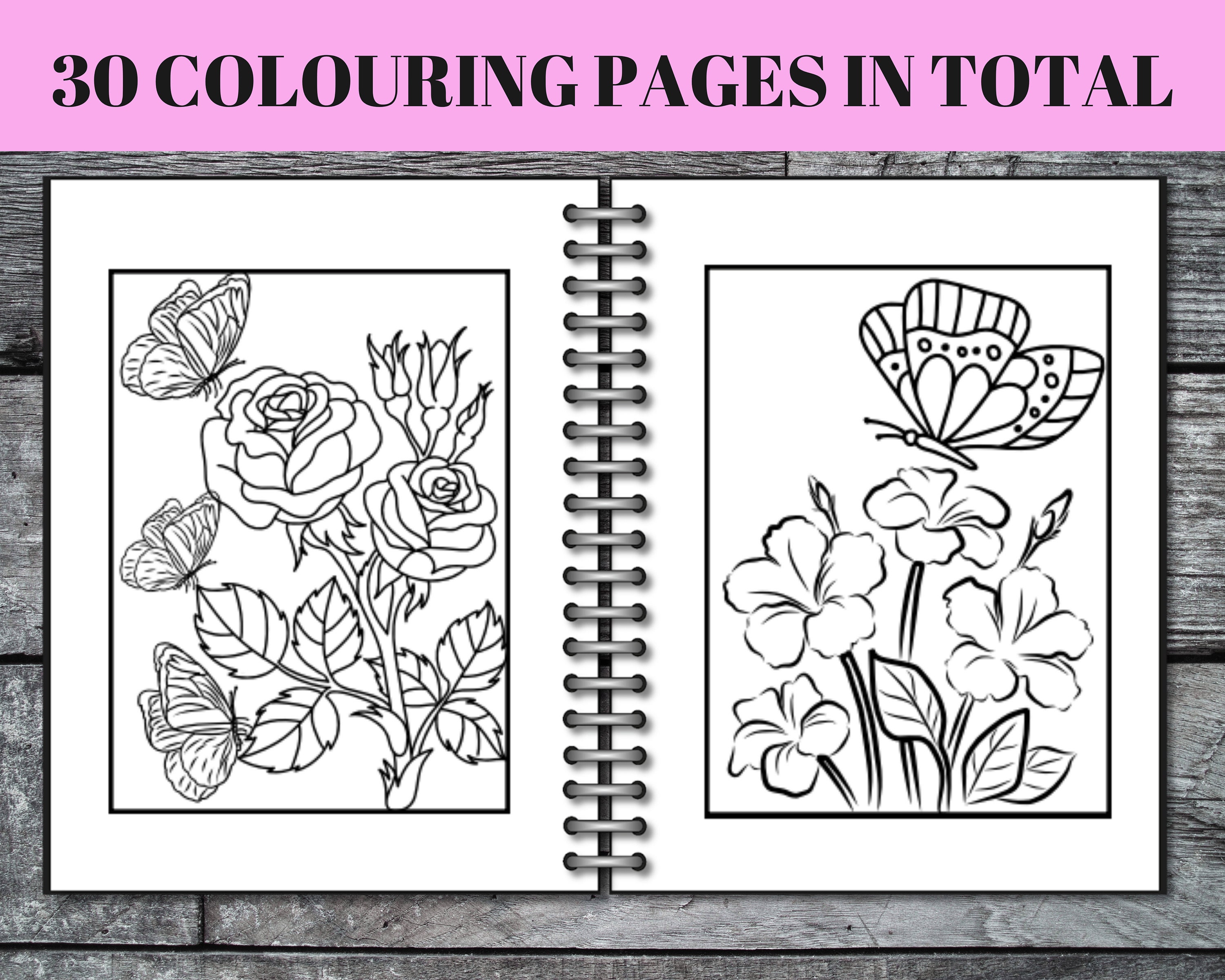 Butterfly Coloring Pages 30 Printable Butterfly and Flower - Etsy