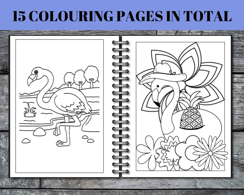 15 Printable Flamingo Coloring Pages for Flamingo Birthday - Etsy
