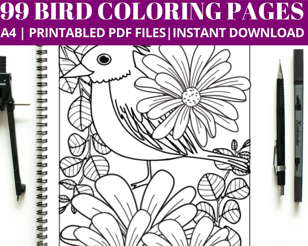 90+ Bird Coloring Pages, Printable Bird Coloring Pages for Kids, Boys ...