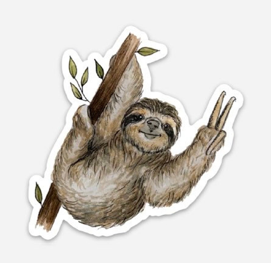 Sloth Sticker - Etsy