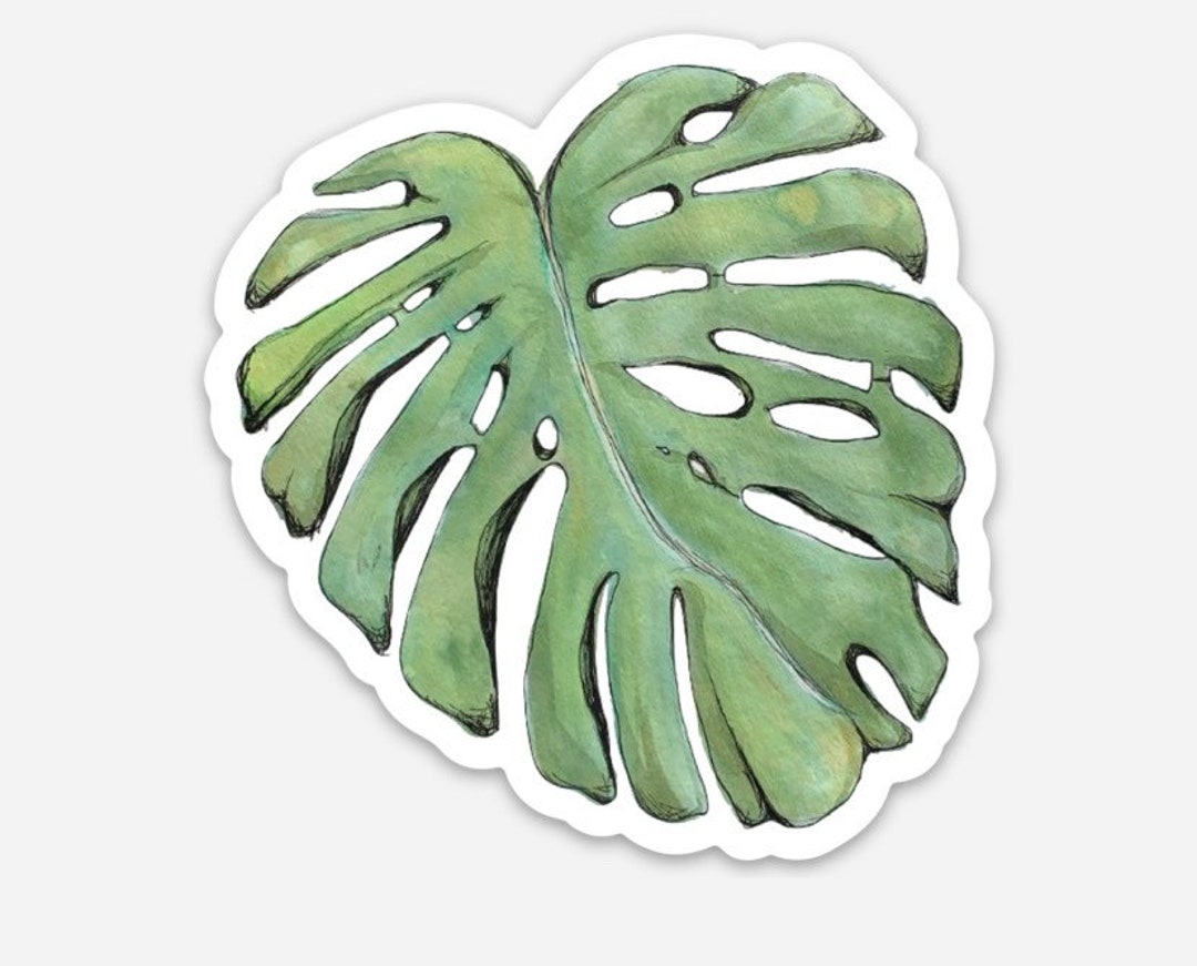 Monstera Sticker - Etsy