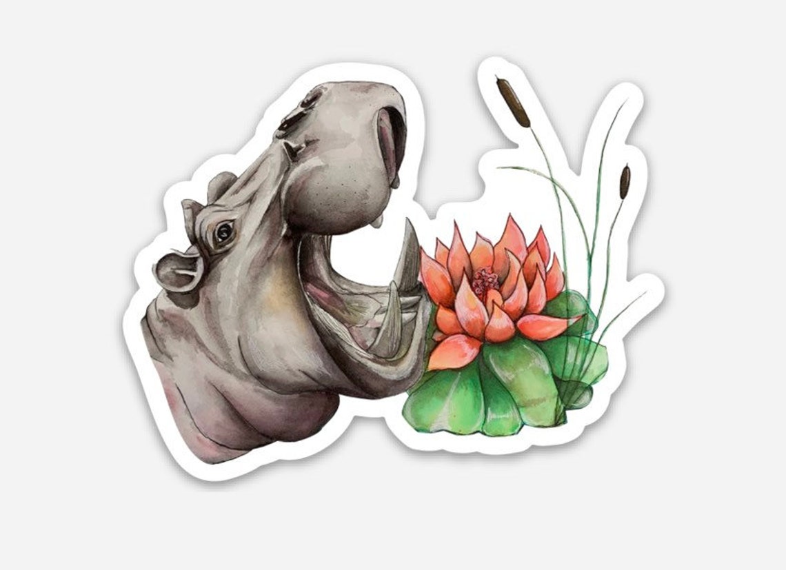 Hippo Sticker - Etsy