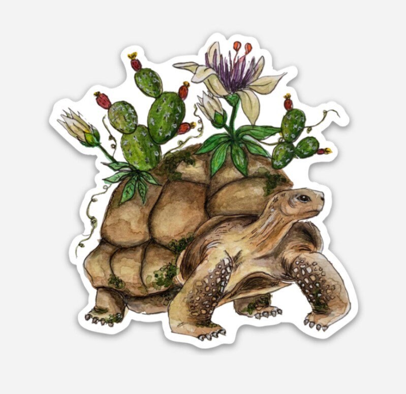 Galapagos Tortoise Sticker - Etsy