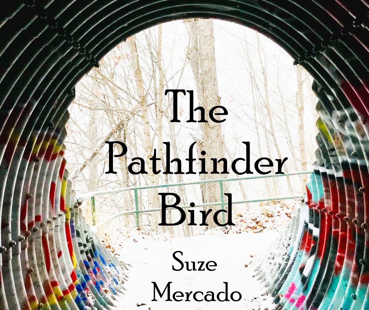 The Pathfinder Bird - Etsy