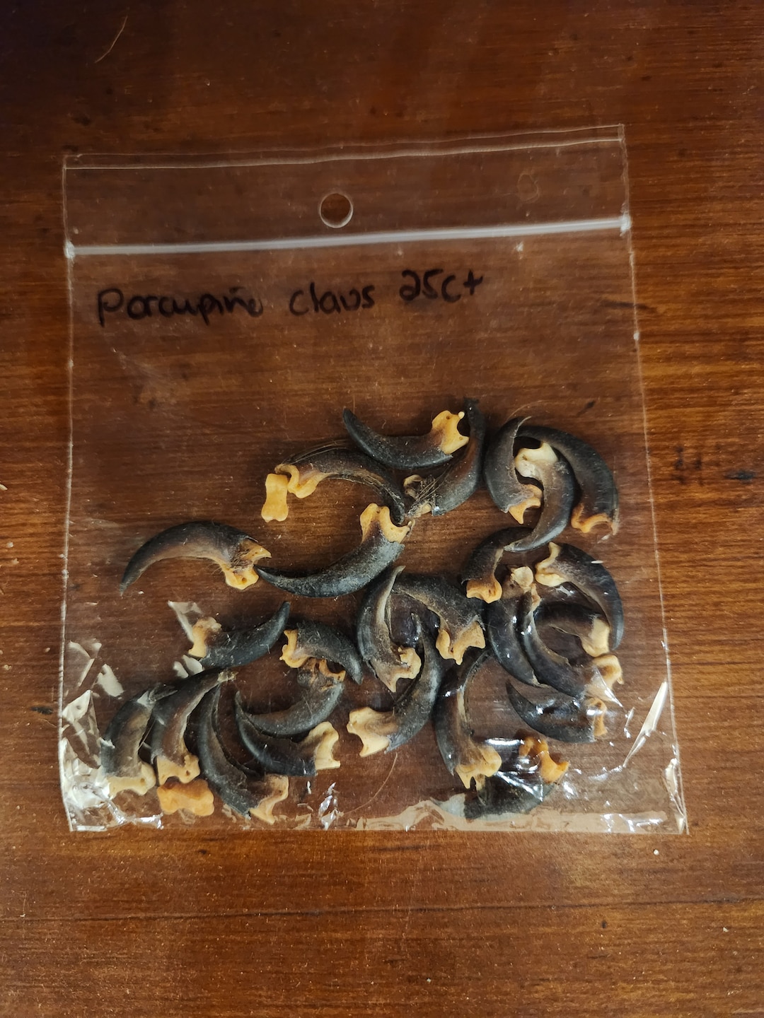 Porcupine Claws 25 Count - Etsy