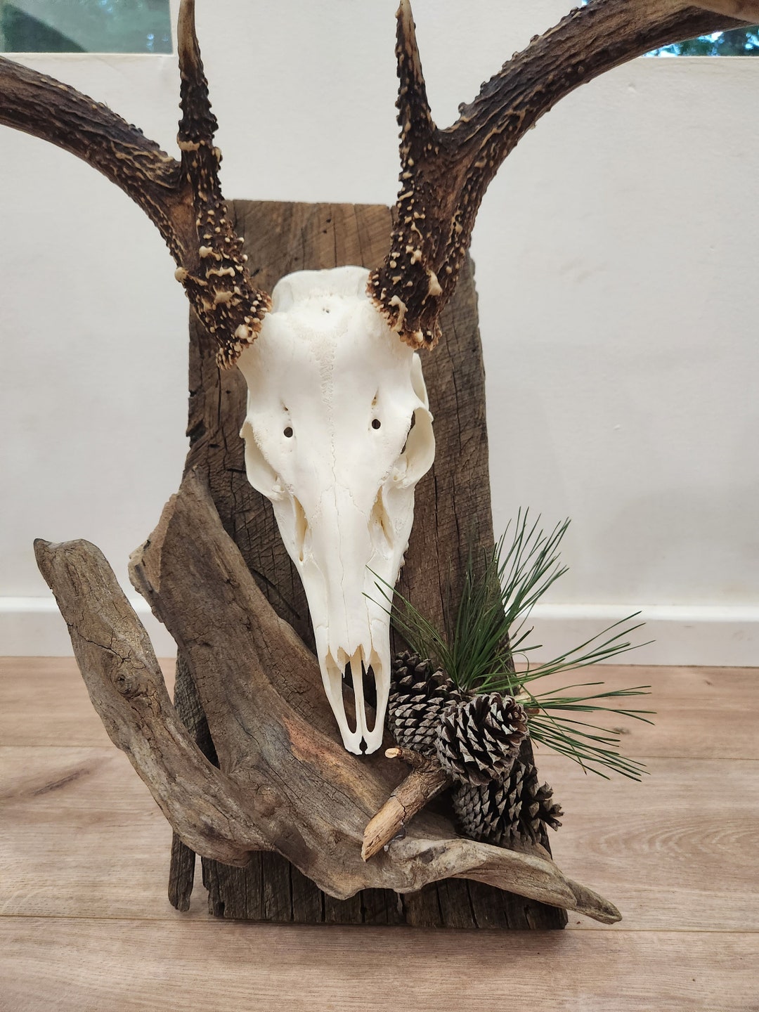 Custom Barn Wood Hand-crafted Deer Skull European Mount Plaque - Etsy