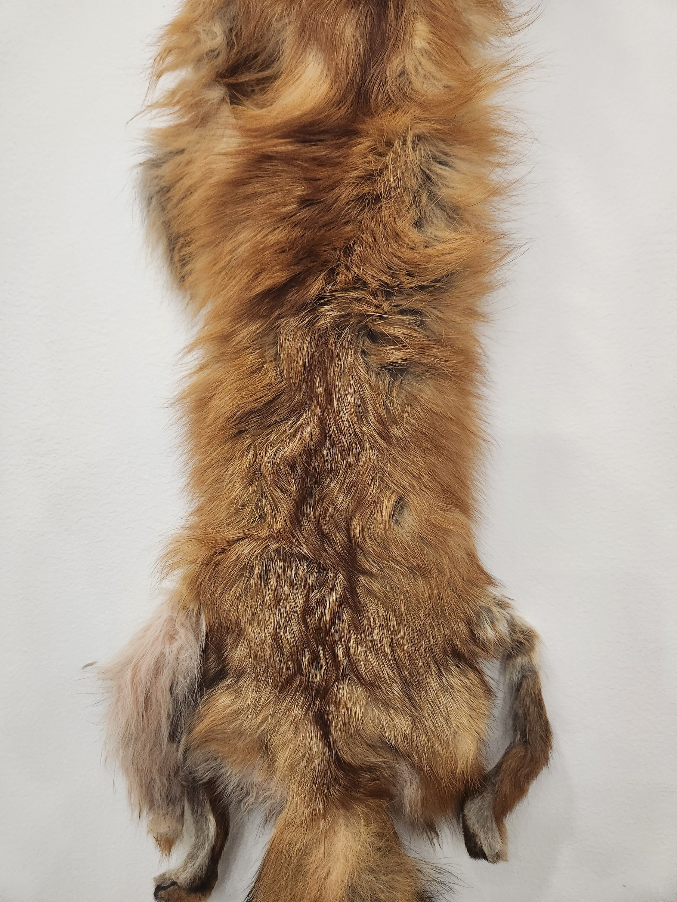 Tanned Red Fox Pelt Red Fox Fur - Etsy