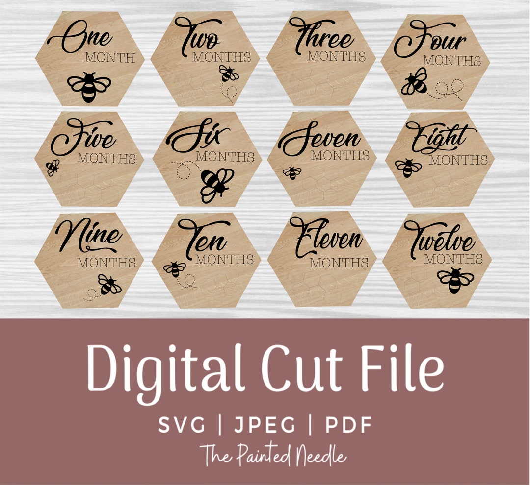 Honey Bee Baby Milestone SVG, Monthly Photo Prop (digital Cut File) - Etsy