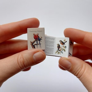 BIRD THEMED BOOKS With Pages, 12th and 6th Scale Dollhouse Printable ...