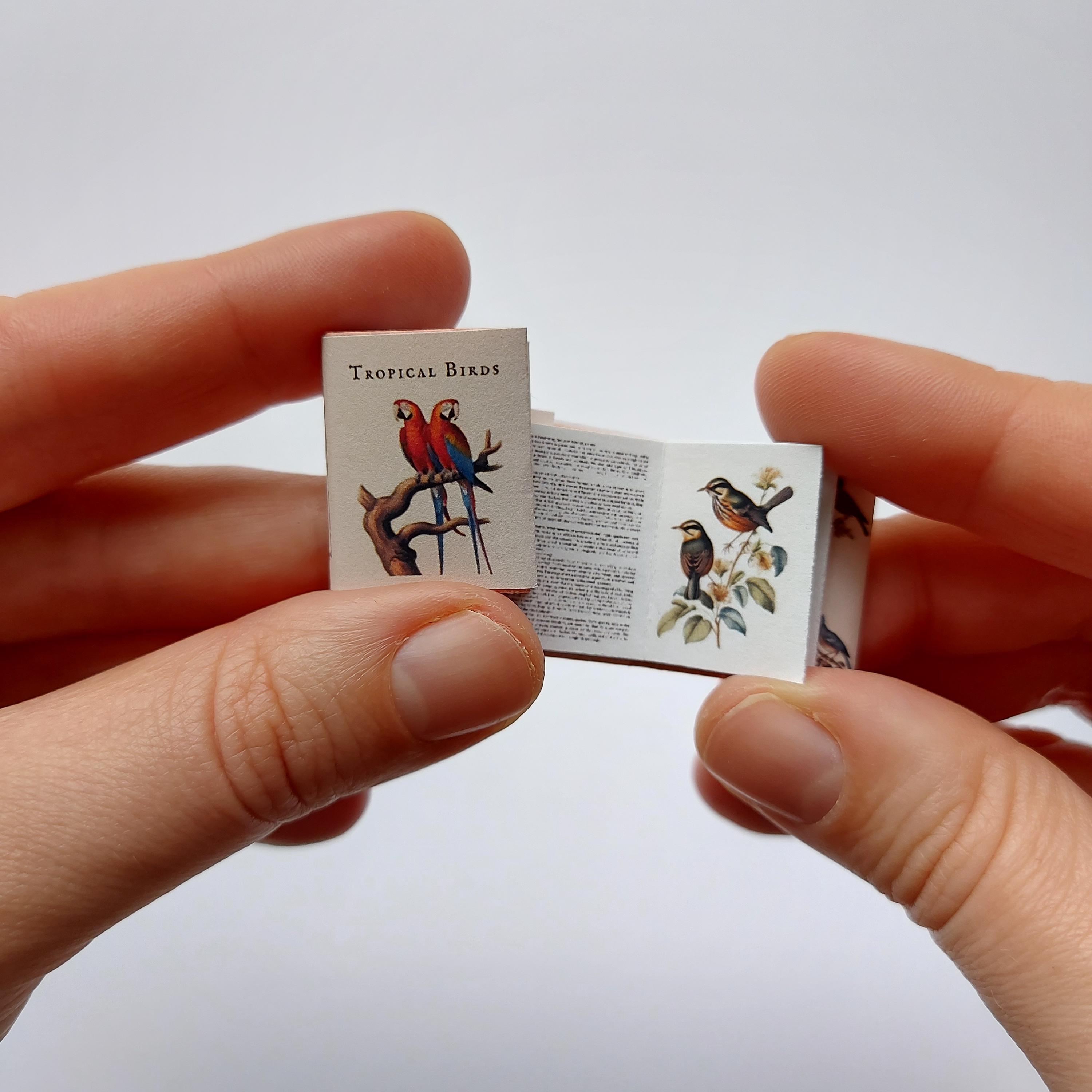 BIRD THEMED BOOKS With Pages, 12th and 6th Scale Dollhouse Printable ...