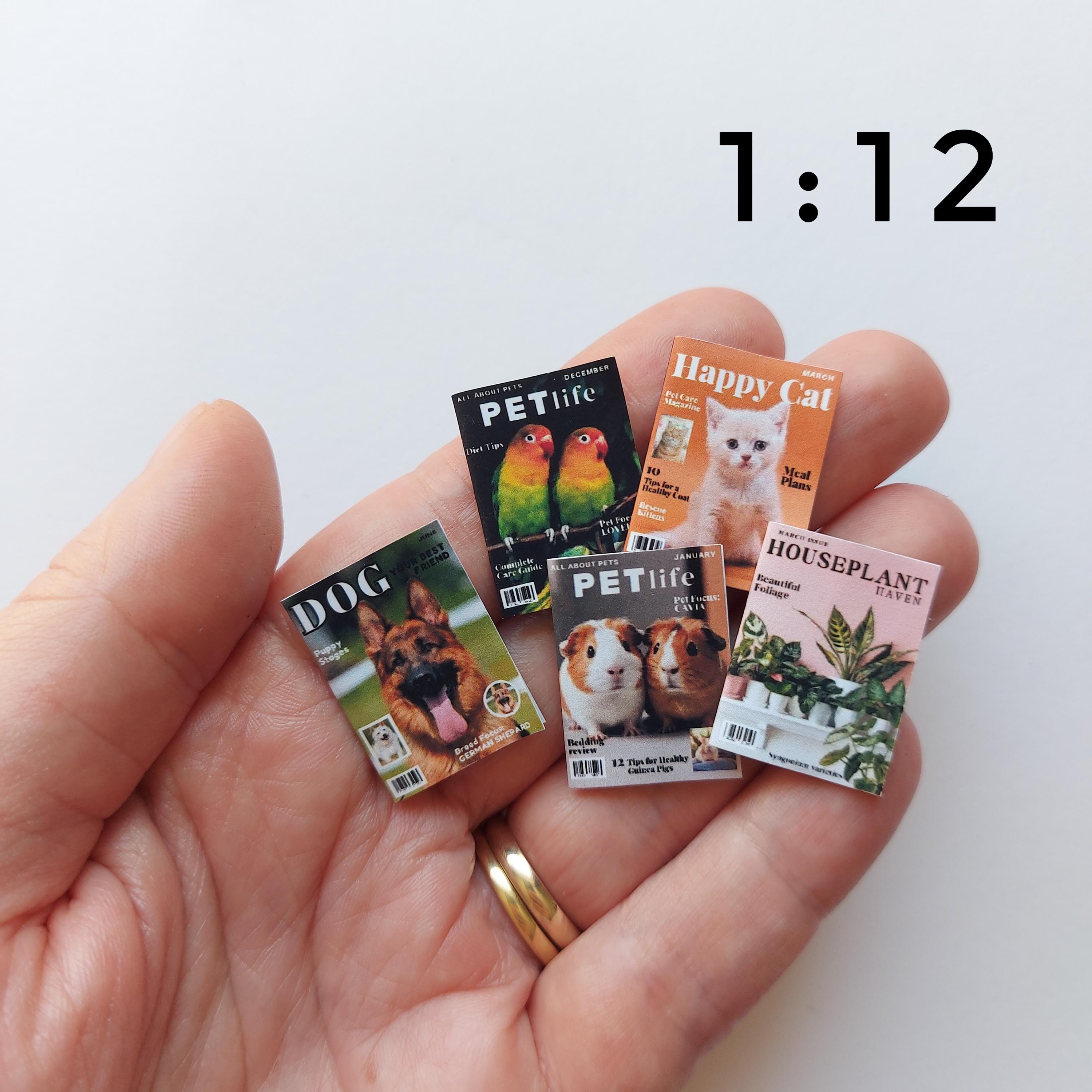 MINIATURE MAGAZINE Cover Selection, Printable in 12th and 6th Scale ...