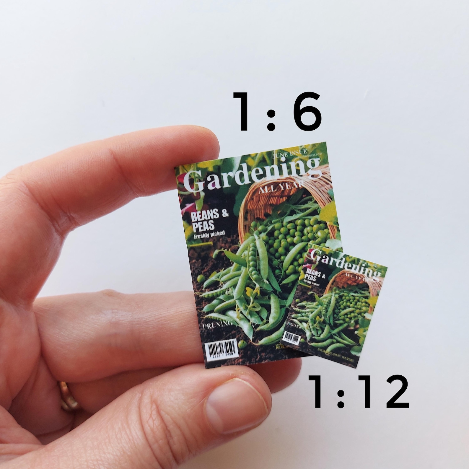 MINIATURE MAGAZINE Cover Selection, Printable in 12th and 6th Scale ...