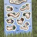 Zit Worms Sticker Sheet // Waterproof Sticker Funny Weird Acne Pimple ...