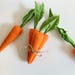 Carrot Play Kitchen Food, Pretend Play Toy, Bunny Carrot, Fruit Plush ...
