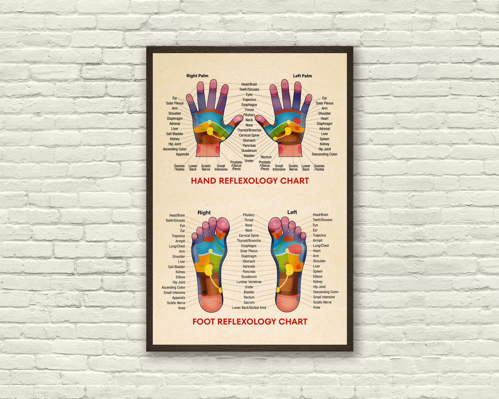 Hand Foot Reflexology Charts Vintage Acupressure and Anatomy - Etsy