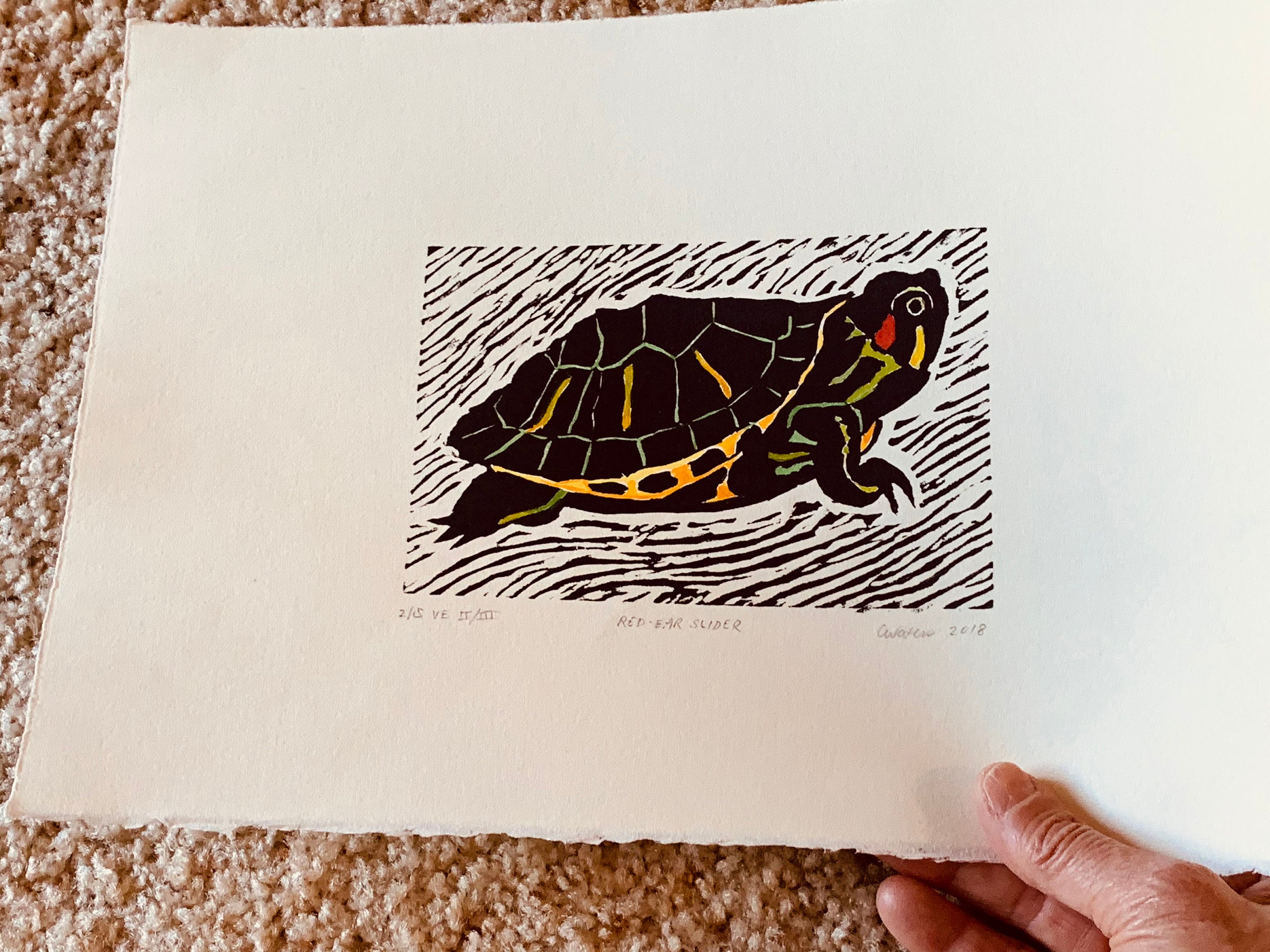 Red-ear Slider - Etsy