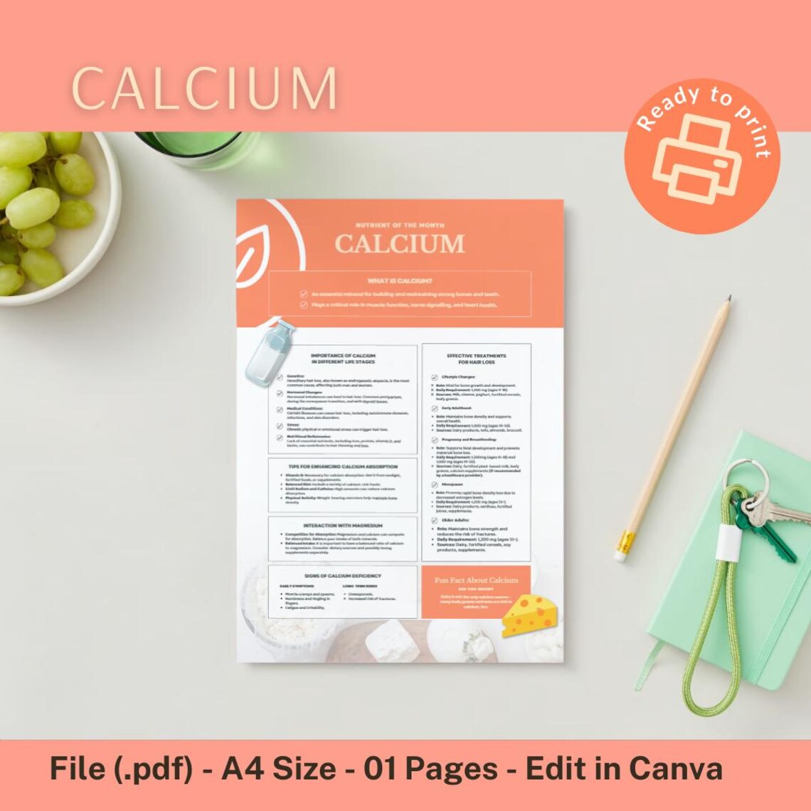 Calcium Flyer -nutrient and Supplement - Fiber Canva Template - Etsy