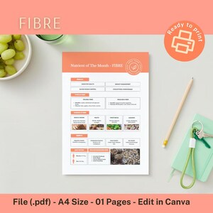 Fibre Flyer -nutrient and Supplement - Fiber Canva Template - Etsy