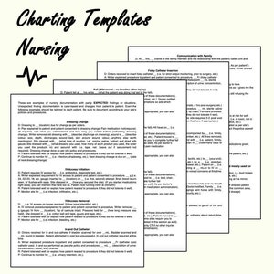 Documentation Templates for Nursing - Etsy