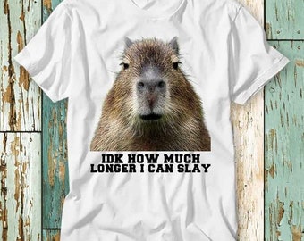 Idk How Much Longer I Can Slay Capybara Sarcastic Dank Meme T Shirt ...