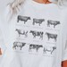 Cow Breeds Shirt, Cow Print Tee, Farm Girl Cow Shirt, Cowgirl Shirt ...