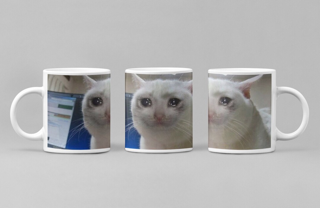 Funny Cat Meme Mugs. Cat Lover Gift - Etsy