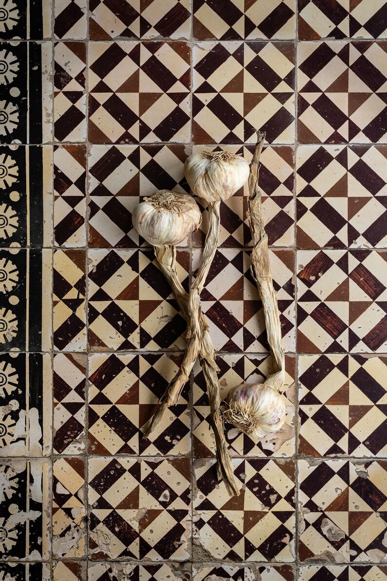 1960s Graphic Tile Photography Backdrop - Brown Hues, Portugal - Etsy