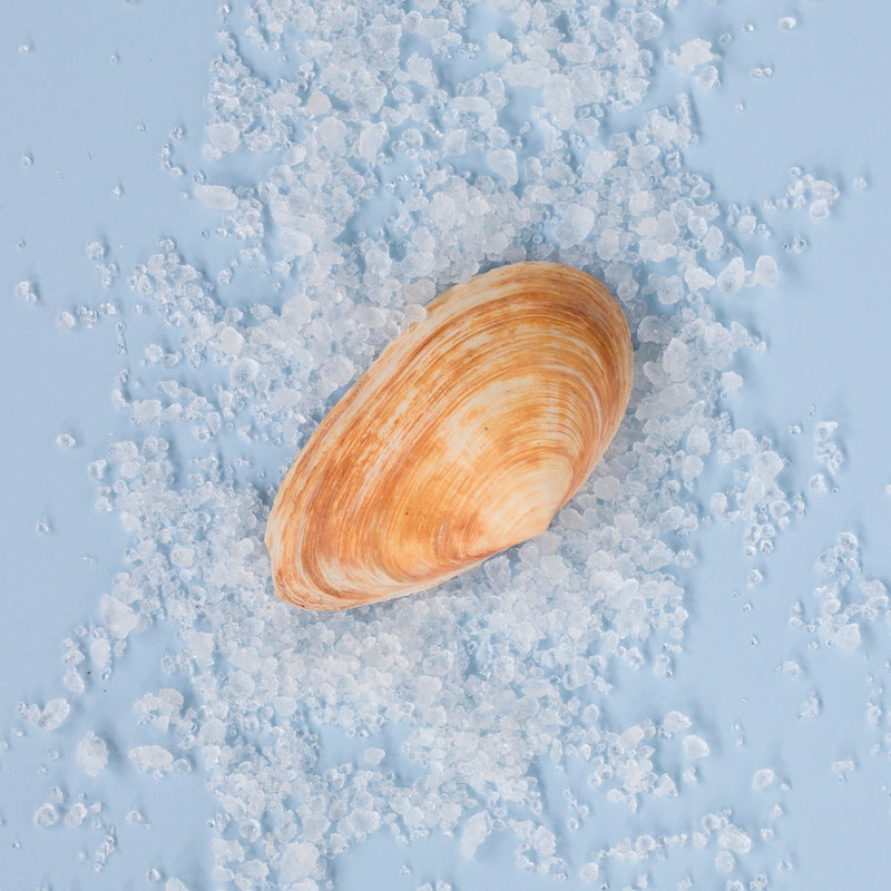 Pvc Backdrops - Etsy