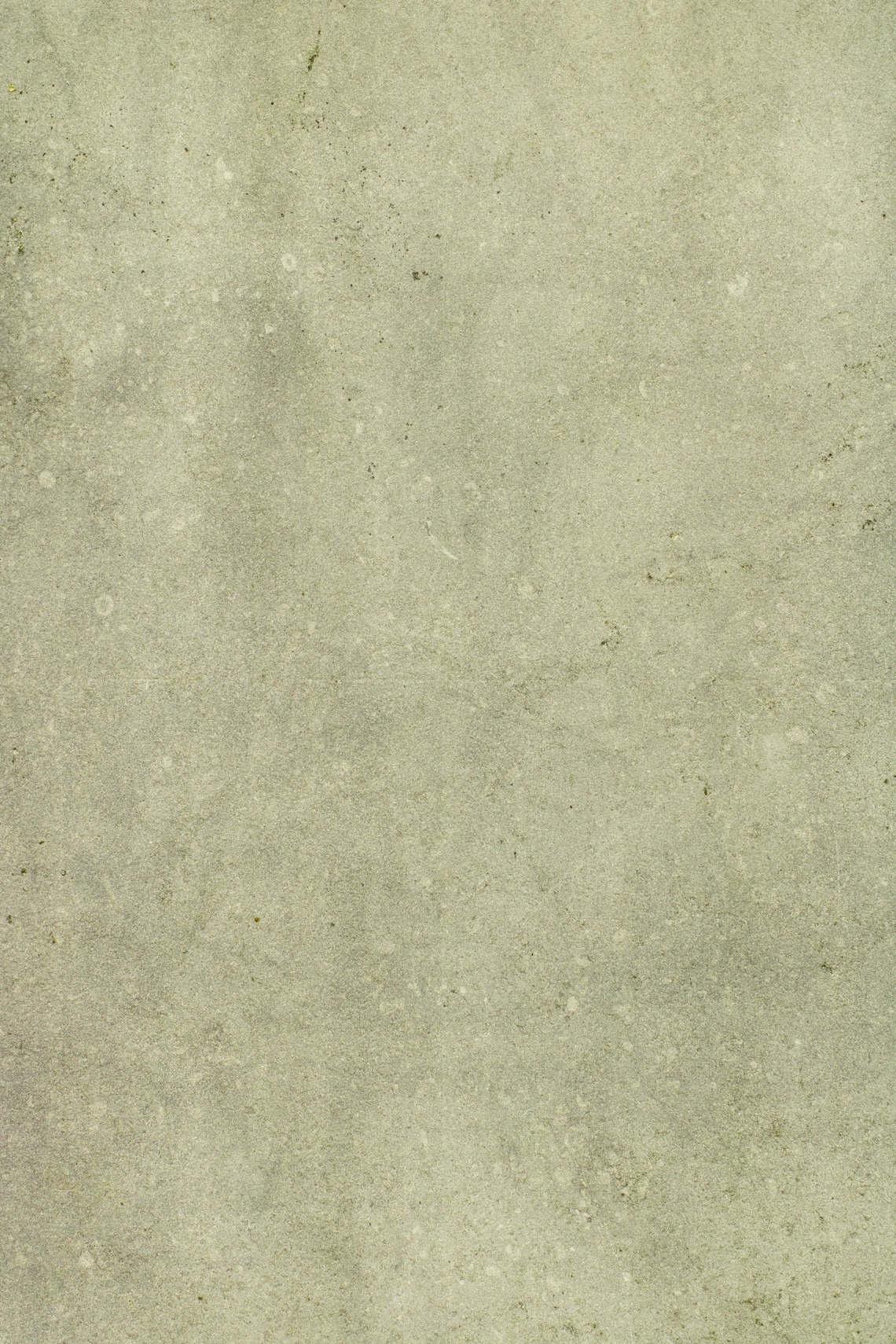 Olive Green Photography Backdrop: Versatile Vinyl Food & Product ...