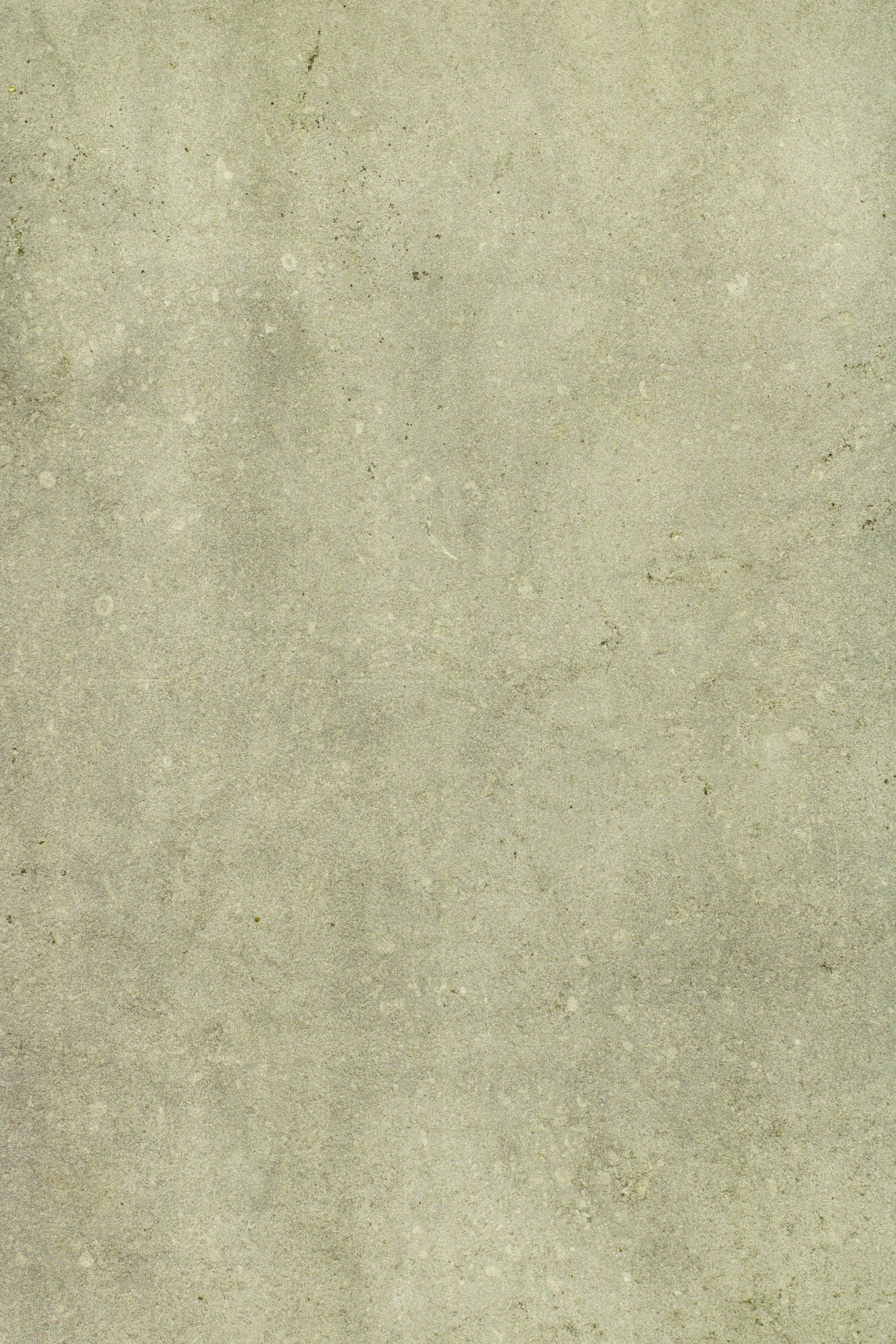 Olive Green Photography Backdrop: Versatile Vinyl Food & Product ...