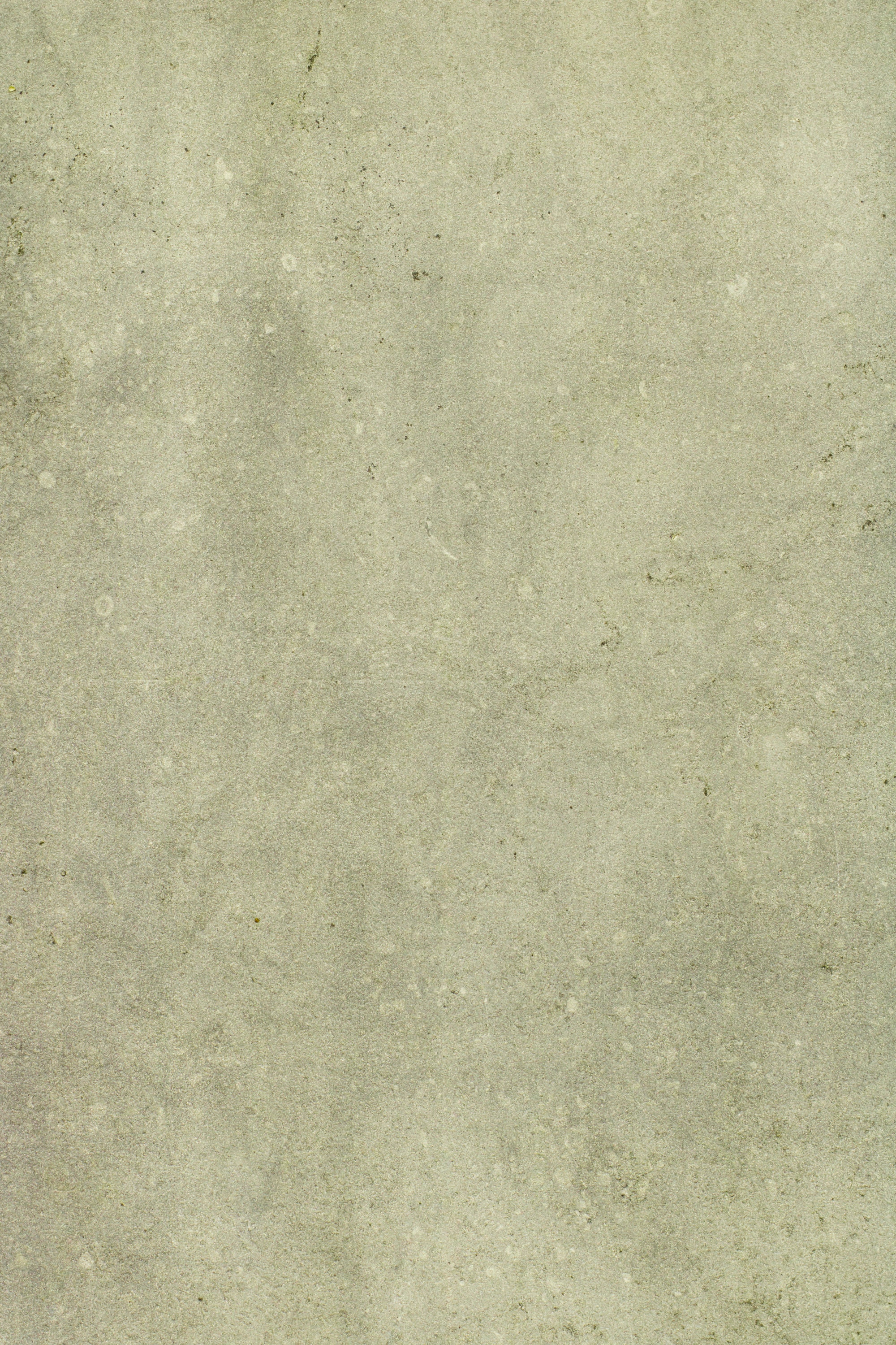 Olive Green Photography Backdrop: Versatile Vinyl Food & Product ...