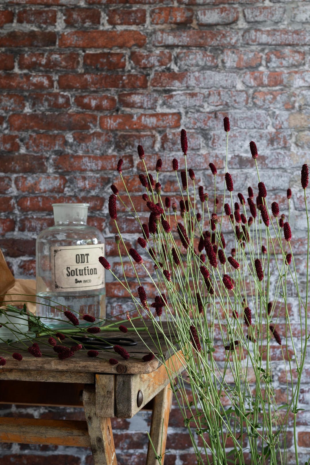 Red Bricks Backdrop, Bricks Photography Background, Bricks Wall ...