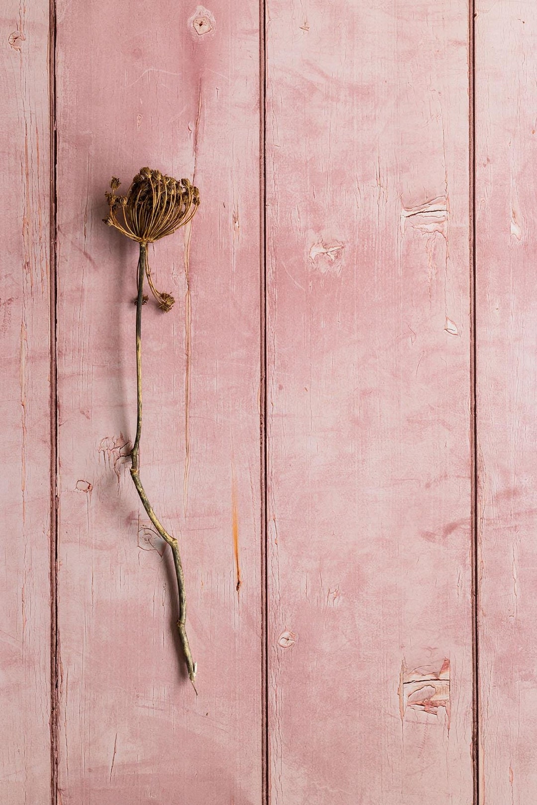 Dusty Rose Pink Wood Photography Backdrop: Food, Newborn, Wedding - Etsy