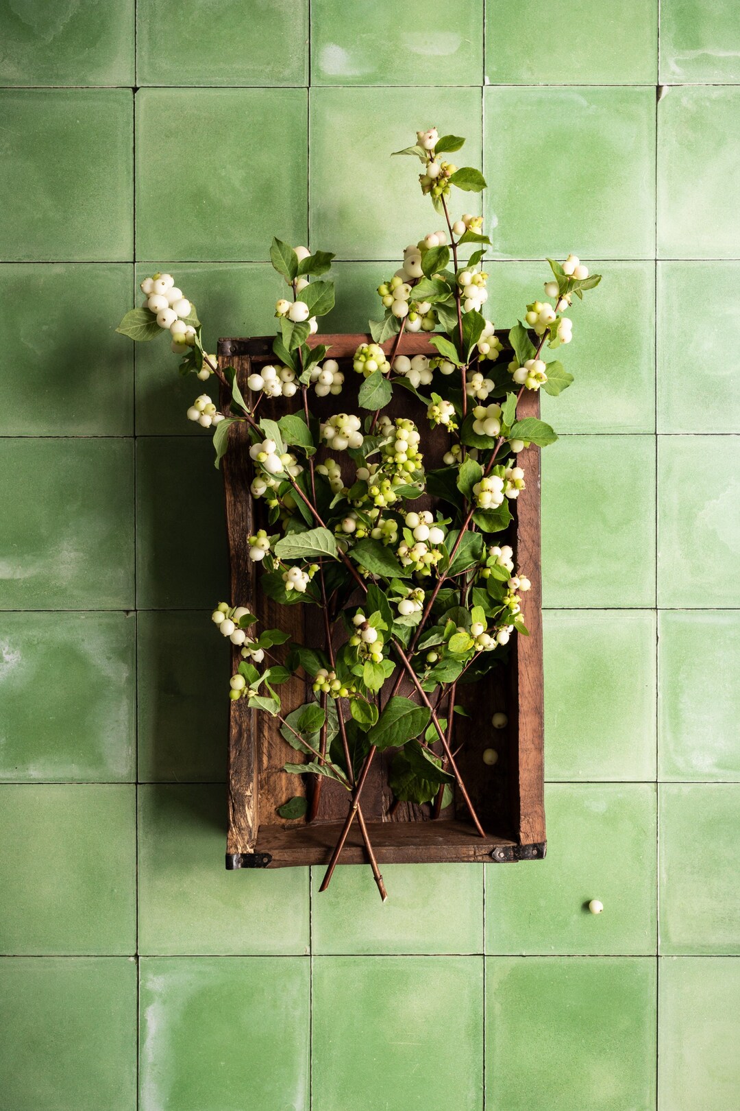 Green Tiles, Tile Backdrop, Green Backdrop, Vinyl Backdrops, Food ...