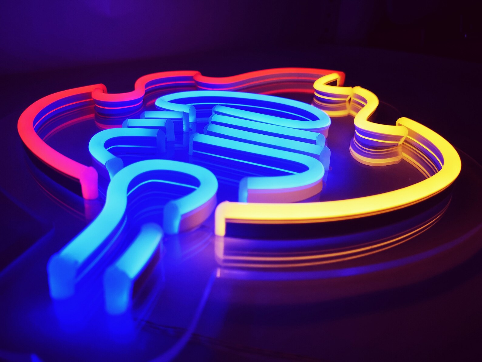 Microphone Neon Light Custom Neon Sign LED Neon Sign LED | Etsy