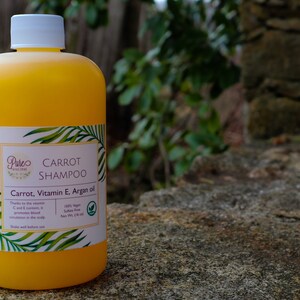 Natural Carrot Shampoo - Etsy