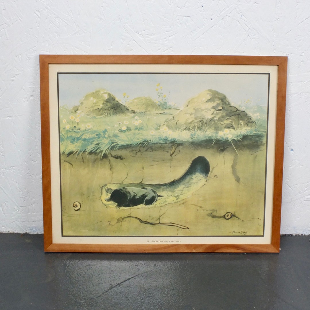 Framed Eileen Soper Vintage Classroom Print No 55 Good Old Miner the ...